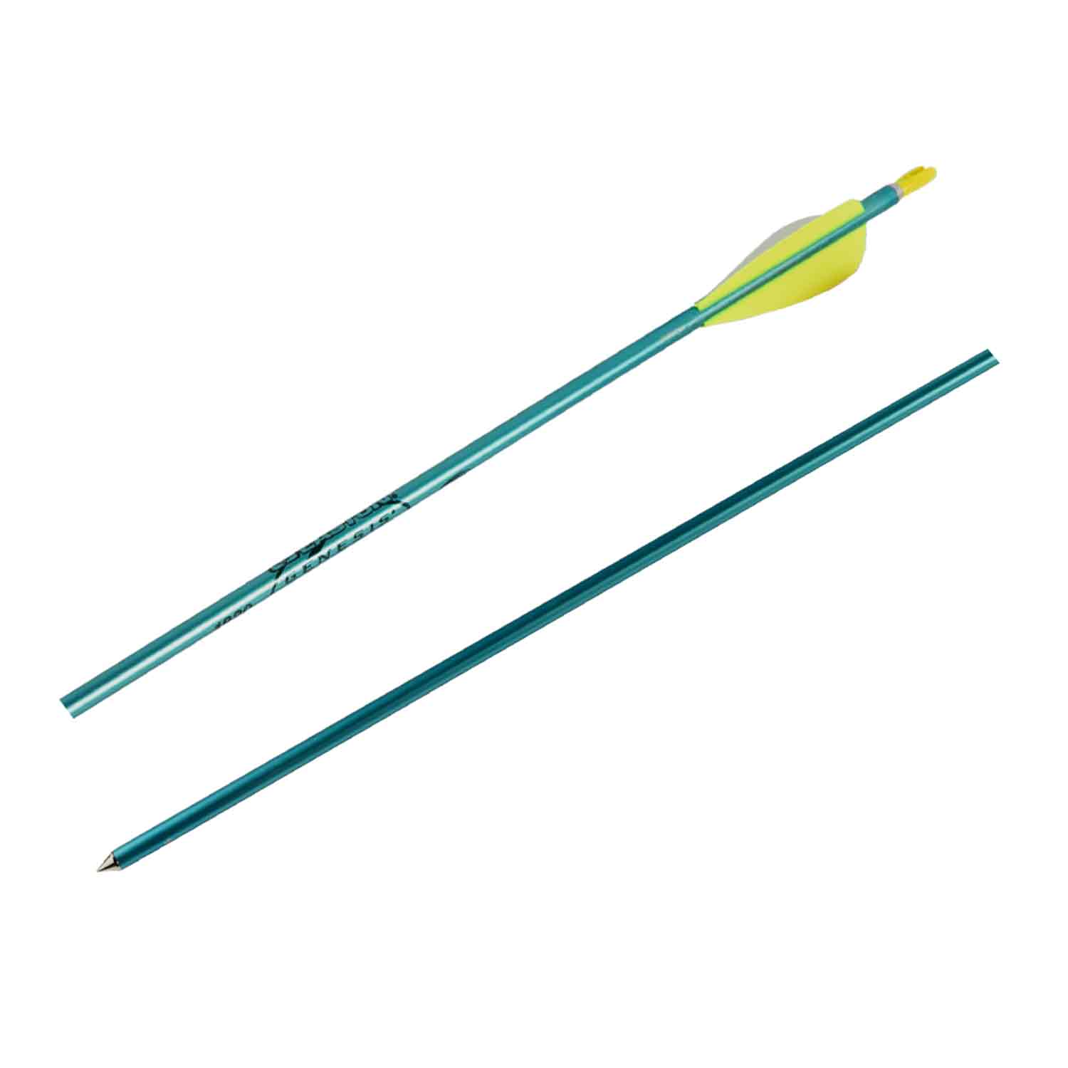 Easton Genesis 1820 30-inch Arrows - Shop – USA Archery